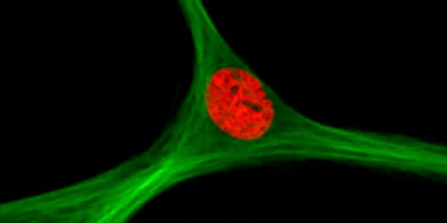 J133-slider – BioProcessing Journal